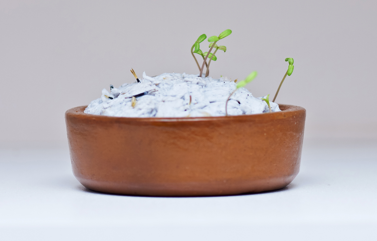 Papel Reciclado: Conheça a maneira mais ecológica de reutilizar papel