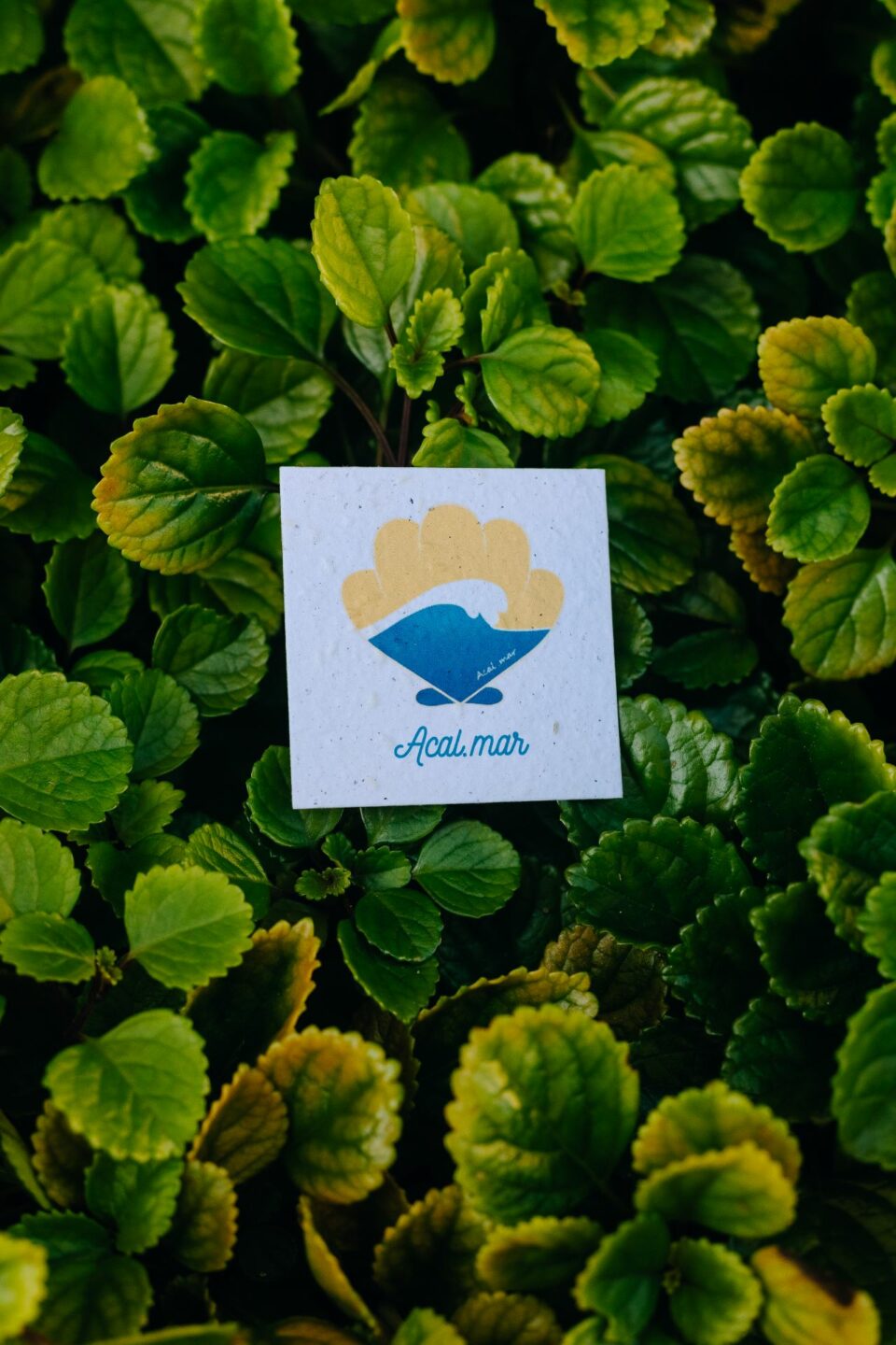 Tags para Semi Joias - Onde Comprar e Personalizar?