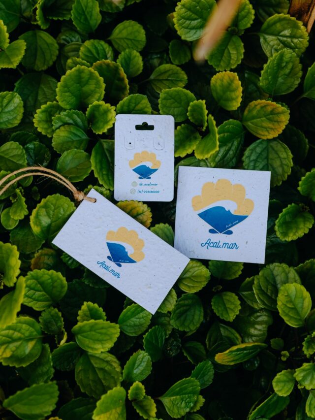 5 Ideias de Embalagens Criativas para Bijuterias - Papel Semente