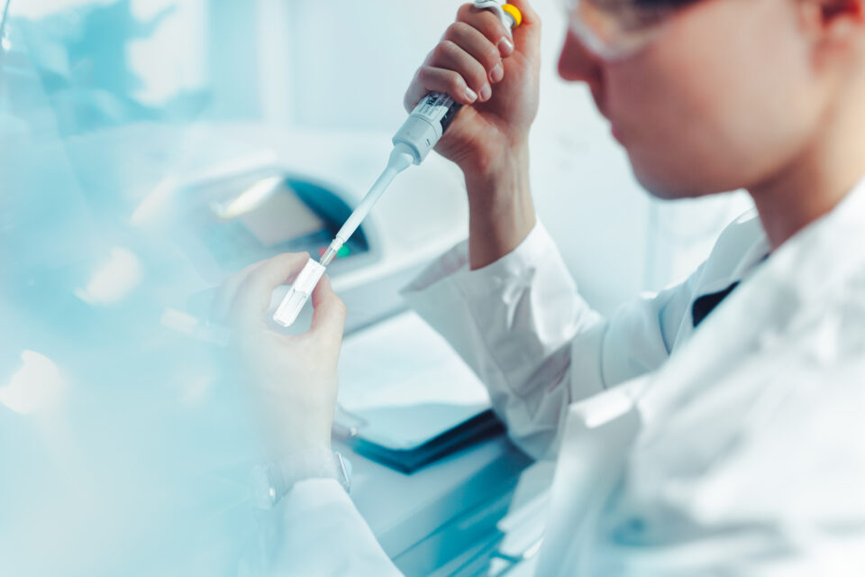 Solar Foods - Saiba tudo sobre esta revolução no futuro da alimentação