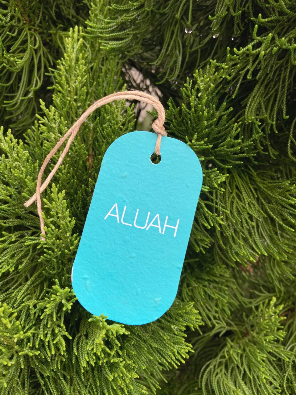 Tags Redondas para Editar - 5 Modelos da Papel Semente