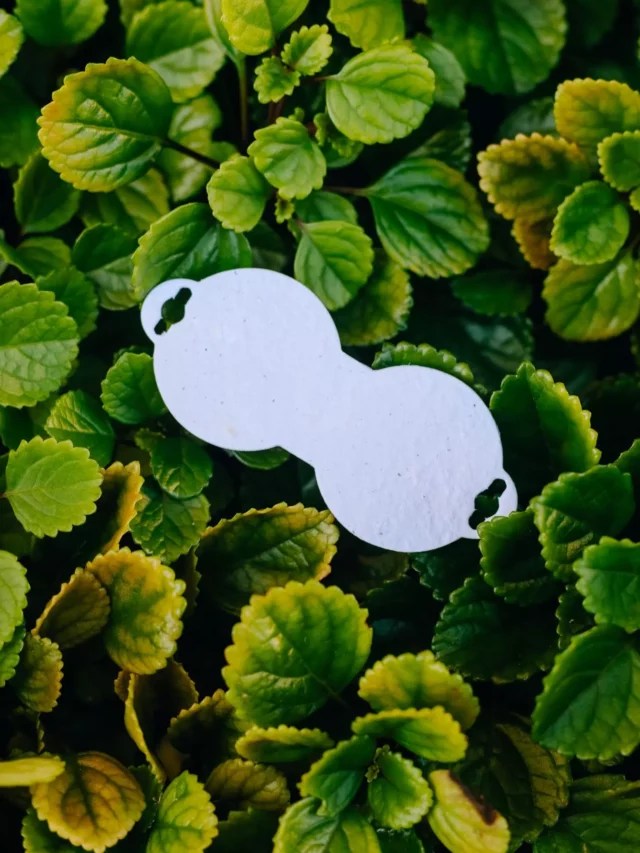 5 modelos plantáveis e biodegradáveis de tags para brincos - Papel Semente