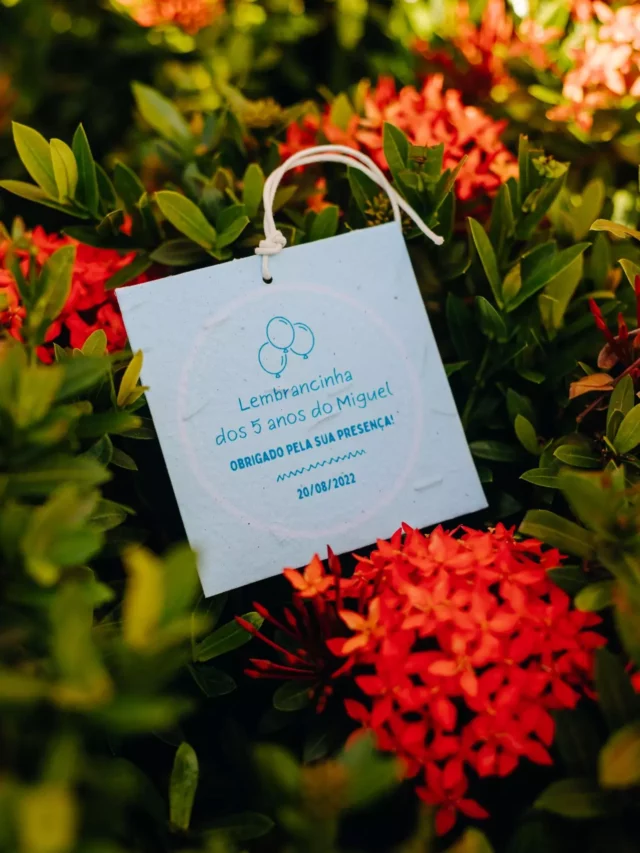 Tag Quadrada Ecológica - Onde Encontrar? - Papel Semente